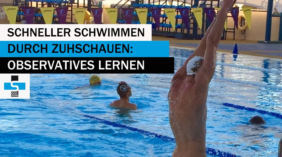 Technik-Training allein durch Zuschauen: das observative Lernen - DOC SWIM